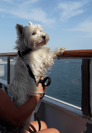 FRS DFDS : billets, offres et itinéraires | Ferryscanner