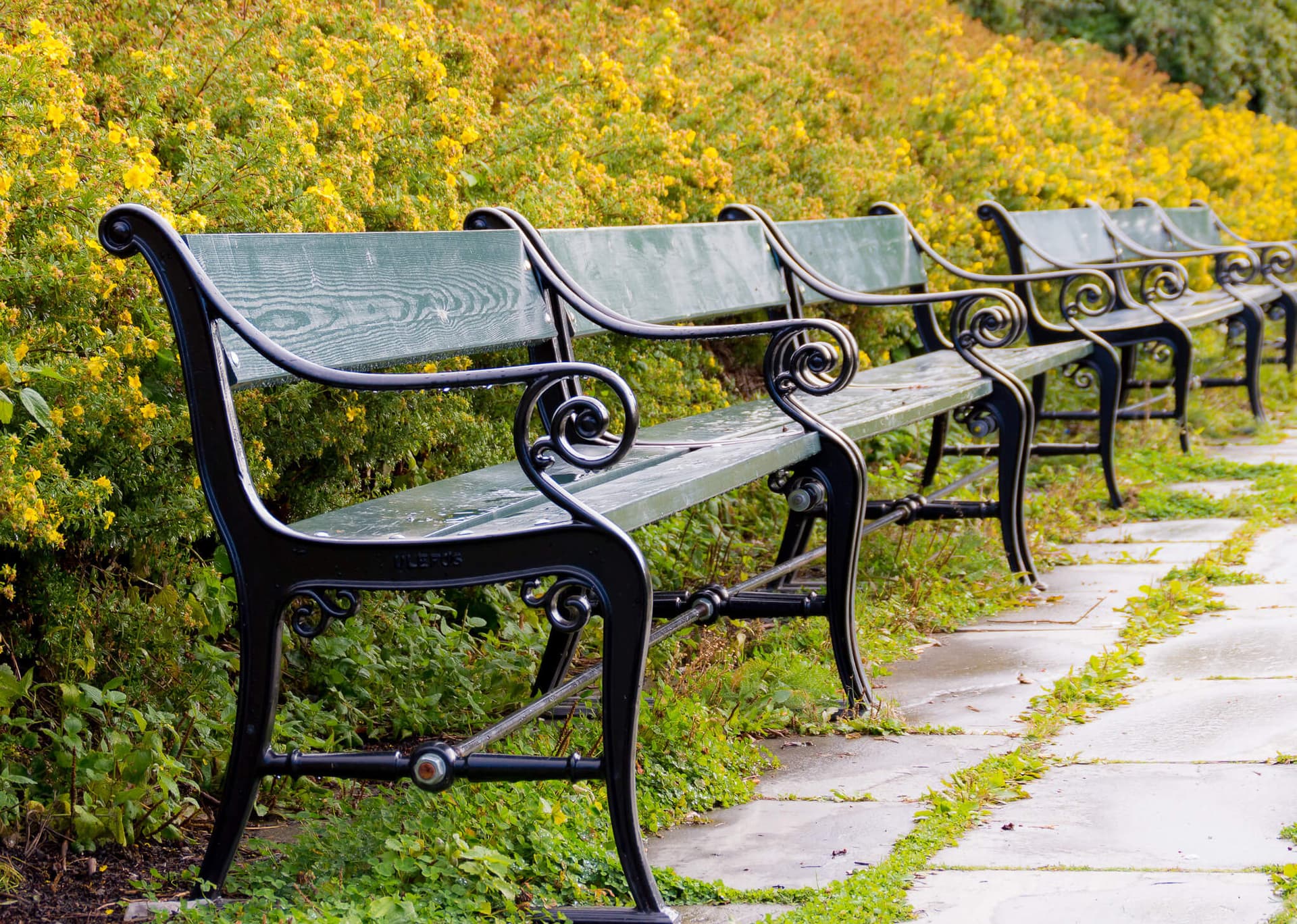 前往奥斯陆（Oslo）的轮渡：信息、航线、轮渡公司 | Ferryscanner