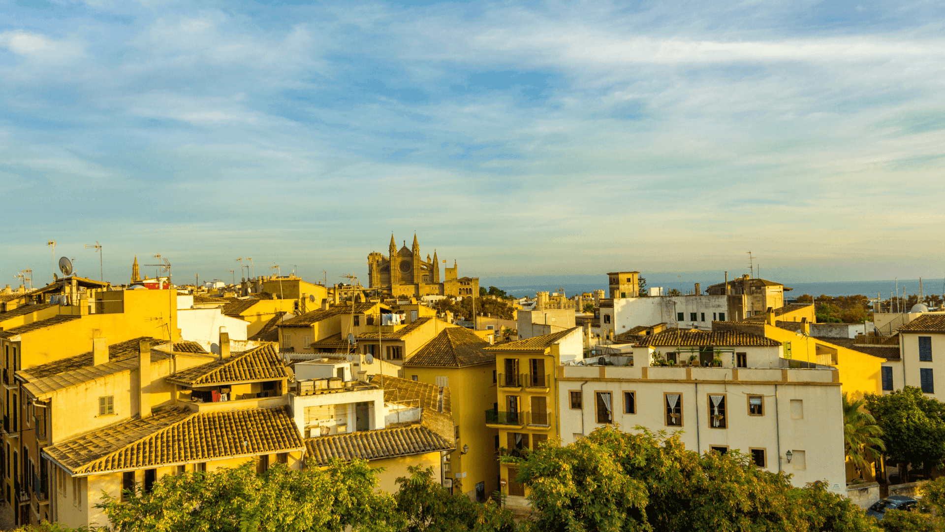 Ferry Palma de Mallorca: Information, Routes | Ferryscanner