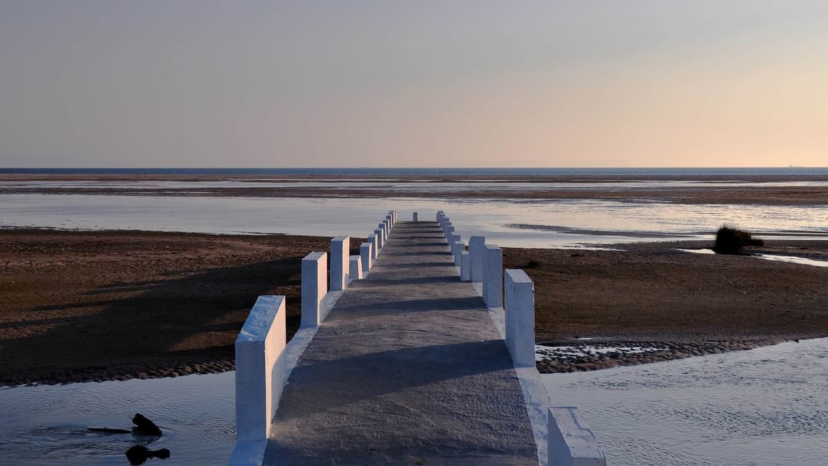 FRS DFDS Ferries: Tickets, Offers, Routes | Ferryscanner