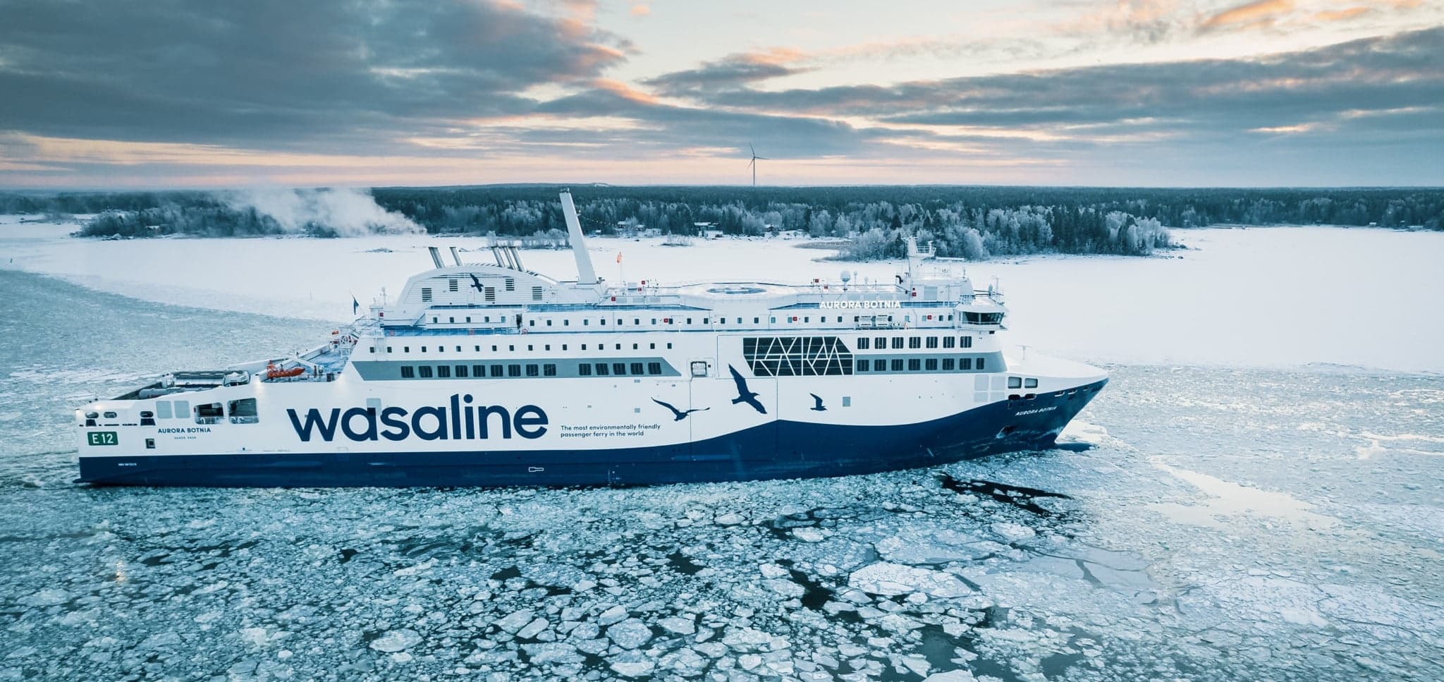 Wasaline Ferries: Biljetter, Erbjudanden, Rutter | Ferryscanner